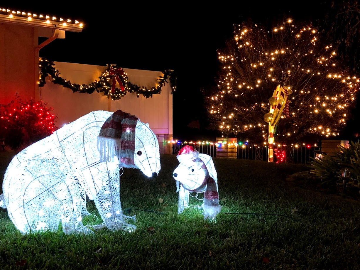 Christmas Light Installation - Malibu Event Lighting